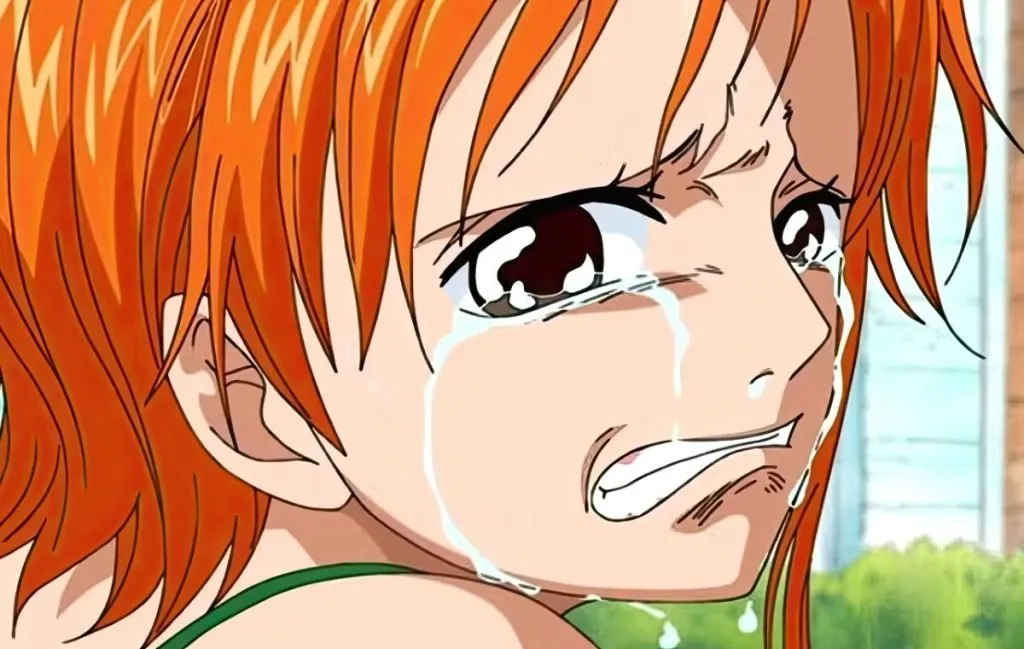 10 لحظه‌ی احساسی انیمه «وان‌ پیس» که احساسات طرفداران را جریحه‌دار کرد ...