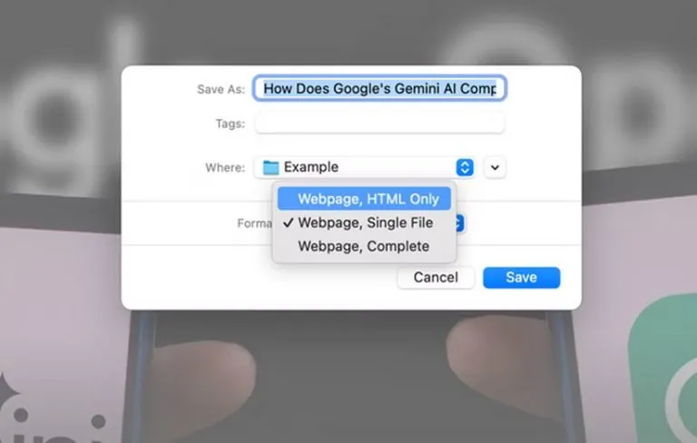 دانلود کامل سایت با ۵ روش ساده و بی‌دردسر • دیجی‌کالا مگ